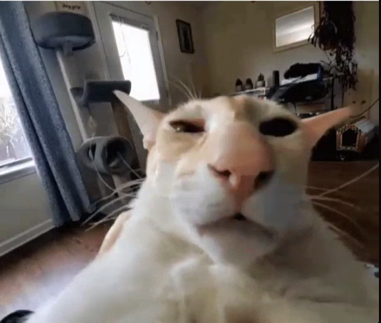 International Translation Services - Main Page